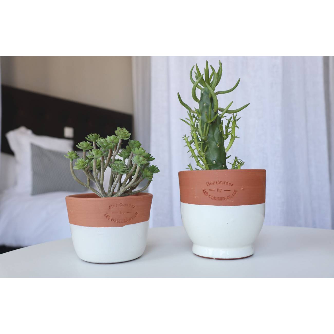 Petit pot coloré pour Cactées Terracotta - Les Poteries d'Albi